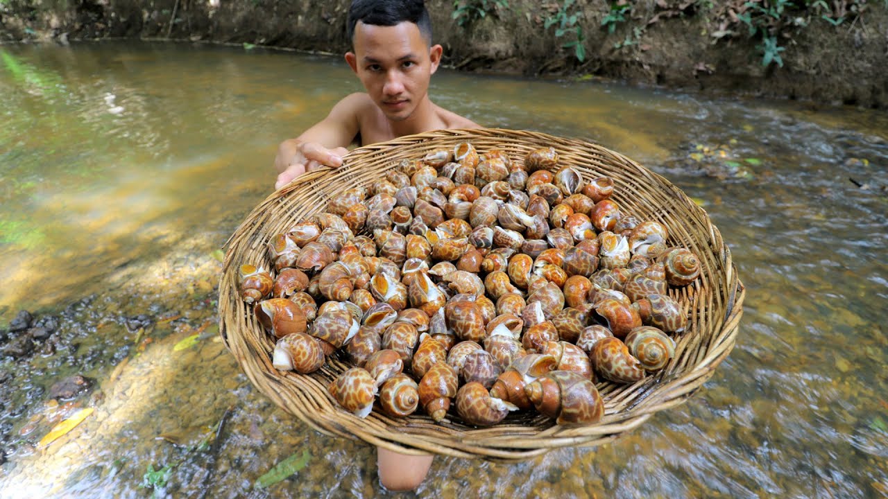 Yummy Sea Snail Cooking Tamarind Sauce - Cooking Tasty Snail In Forest ...