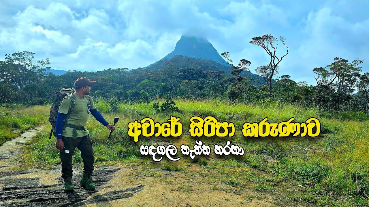 අවාරේ ශ්‍රී පාද මළුව කරුණාව| Off Season Sripada via Sadagala Thenna ...