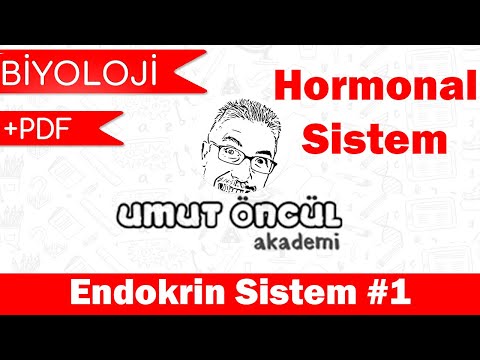Biyoloji | AYT | Endokrin Sistem #1 | Hormonal Sistem | +PDF