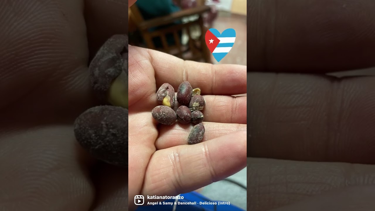Maní 🥜 tostadito el maní 😁 #mani #cuba - YouTube