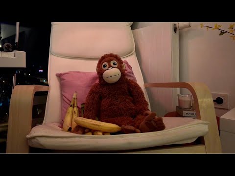 halil'in 2. yaş doğum günü partisi