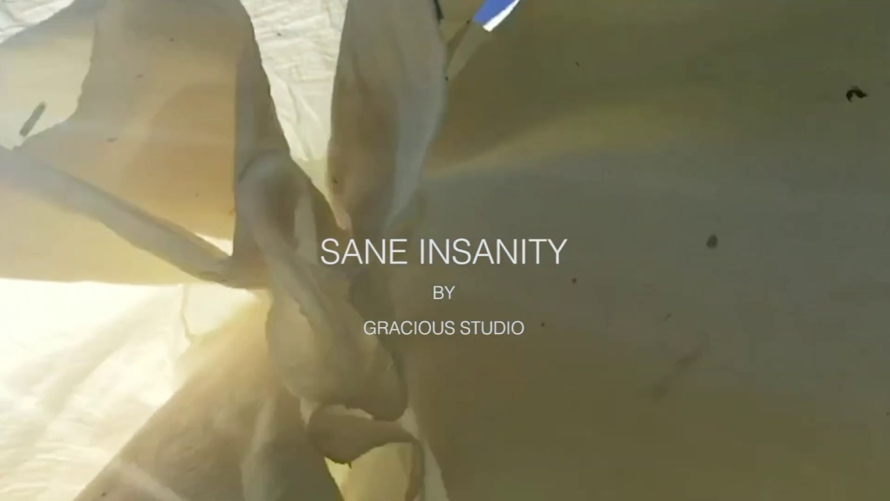 SANE INSANITY / Landing Page - YouTube