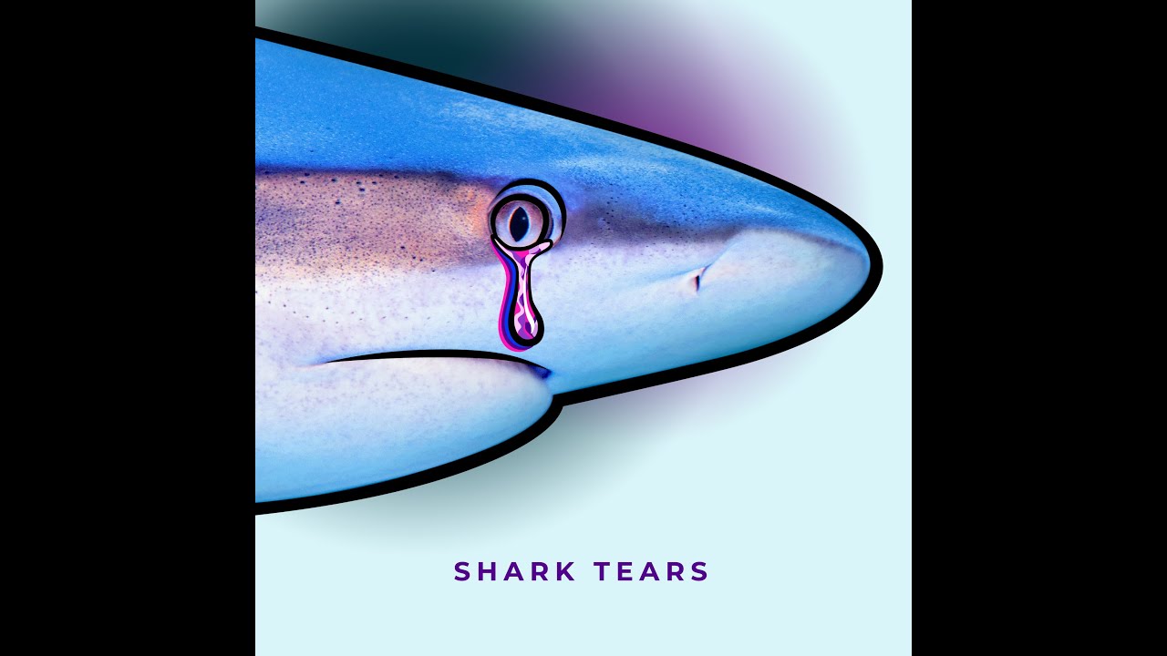 The FloodShark - Shark Tears (Music Visualizer) - YouTube