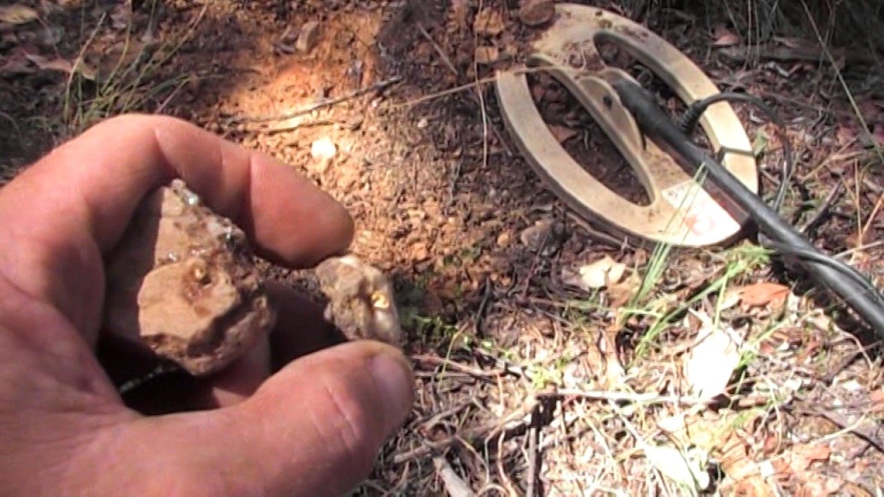 Reef gold 2 - Dec 16 - YouTube