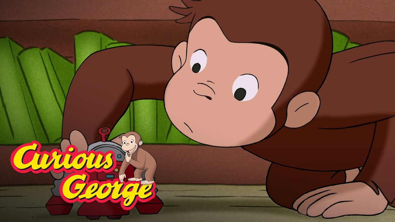 Curious George Real Monkey