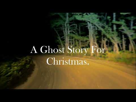 Driving Home For Christmas By Lillian K Logan