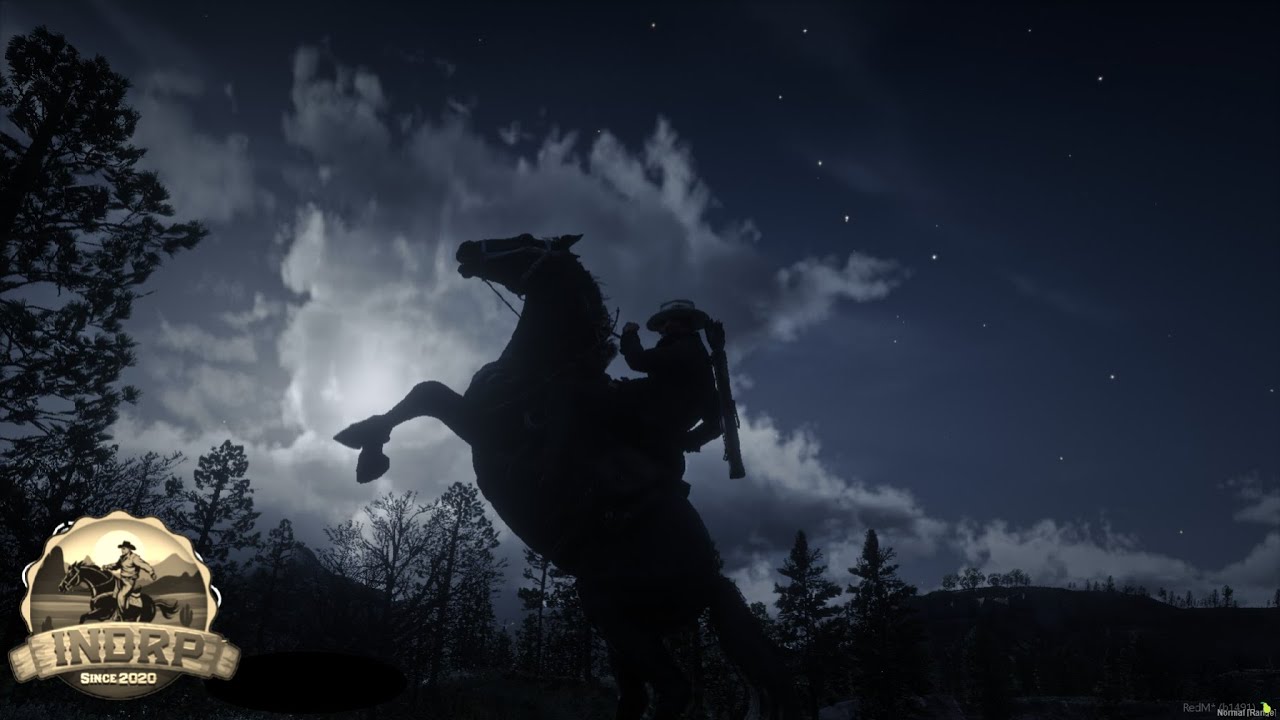 RDR RP in #INDRP #RDR2 - YouTube