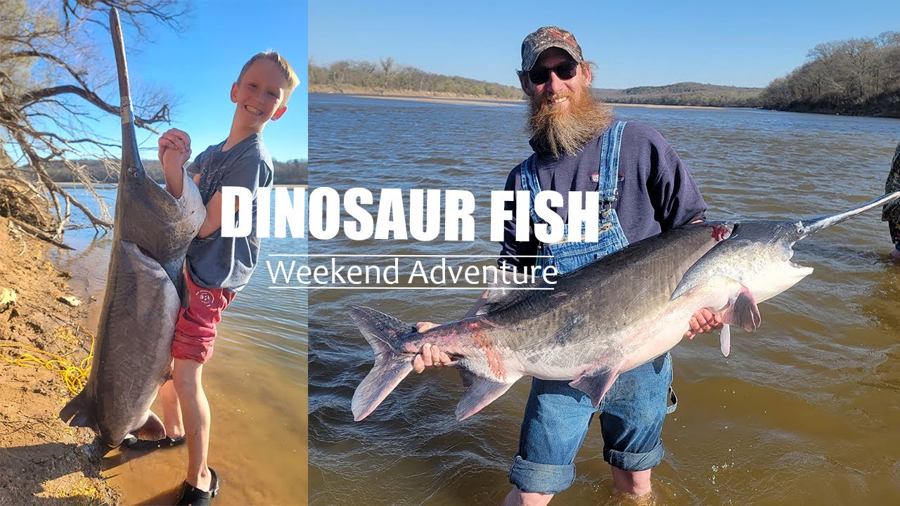 {{DINOSAUR FISH}} Catching HUGE FISH! - YouTube