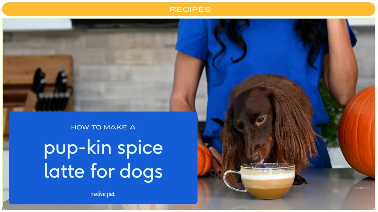 Is Pumpkin Spice Bad For Dogs