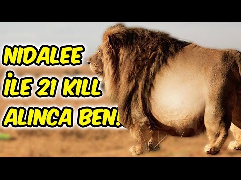 SUREKLI KILL ALMAKTAN BASE ATAMADIK!! OVERFED BİR ASSANIM ASSANIM!! NIDALEE JUNG OP!! | KFCEatbox