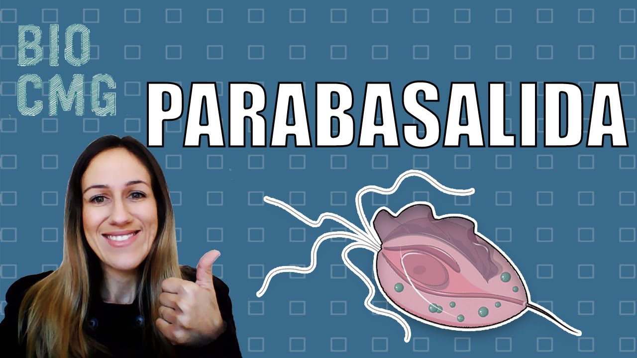 Parabasalida - Quem são esses protozoários? - YouTube