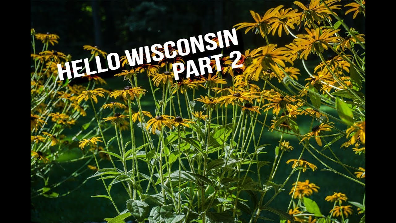 HELLO WISCONSIN Part 2 - YouTube