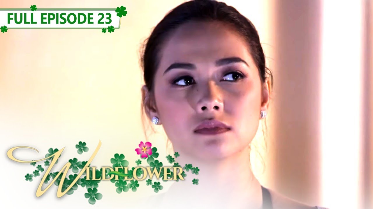 Full Episode 23 | Wildflower with ENG SUB | Maja Salvador, Joseph Marco ...