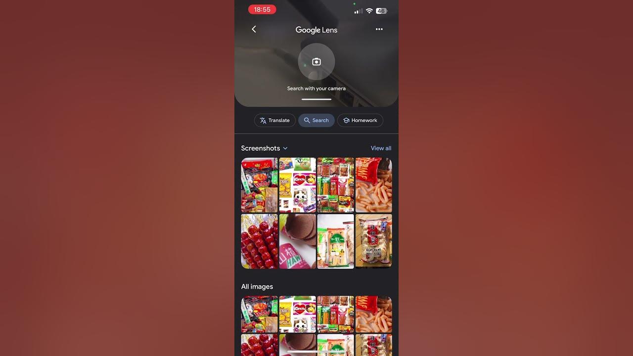 How to use Google image search app to search for things you don’t know ...