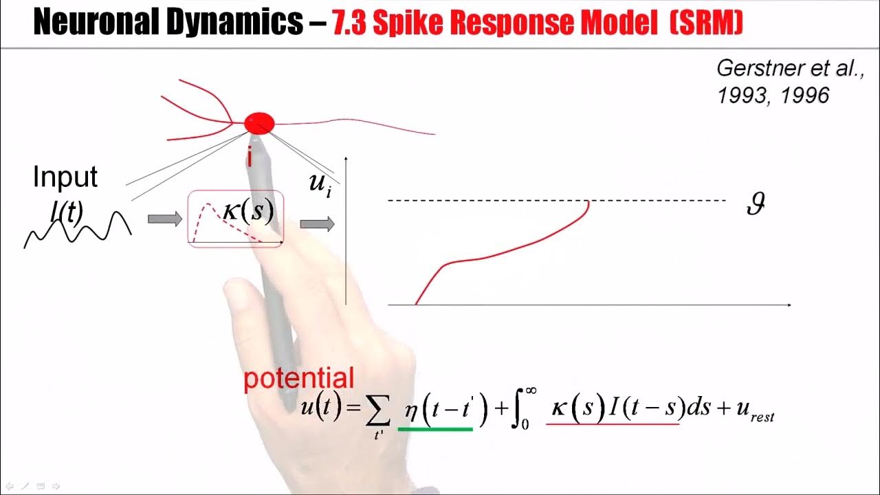 CNS7.3 - Spike Response Model (SRM) - YouTube