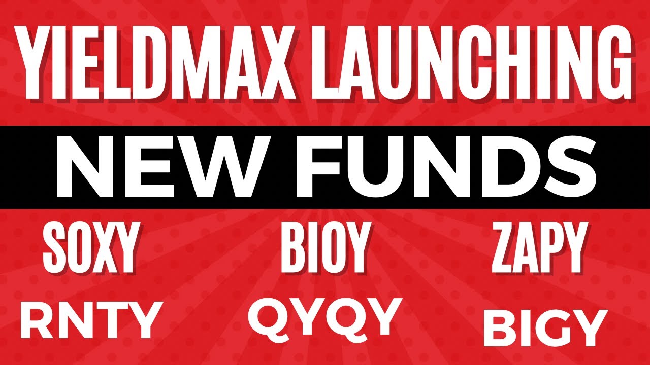 Yieldmax Target 12% Yielders EXPLAINED! SOXY BIOY BIGY QYQY ZAPY RNTY ...