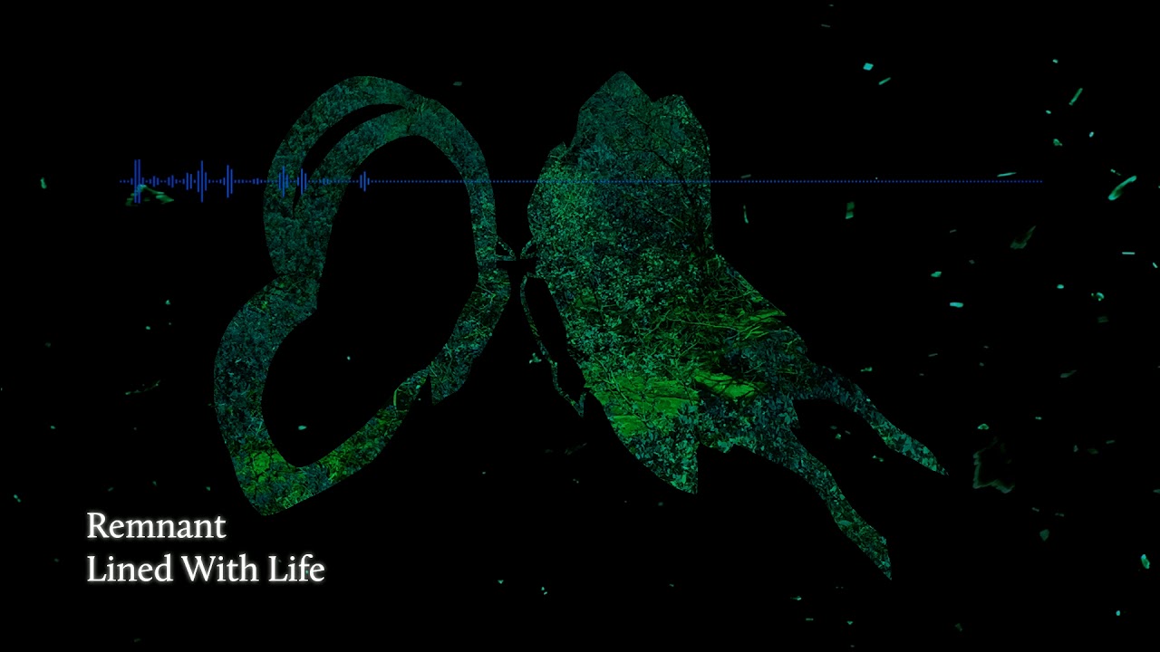 Remnants - Lined With Life - YouTube