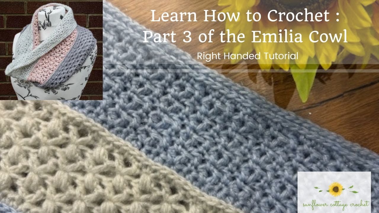 Emilia Cowl CAL Part 3 (Right-Handed) | Blossom Stitch Tutorial + Easy ...