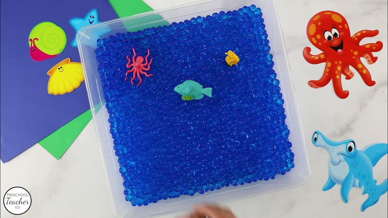 Ocean Theme Preschool Lesson Plans - YouTube