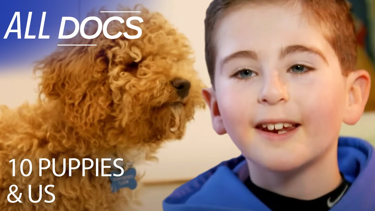 10 Puppies and Us | Pet Documentary | S01 E04 | All Documentary - YouTube