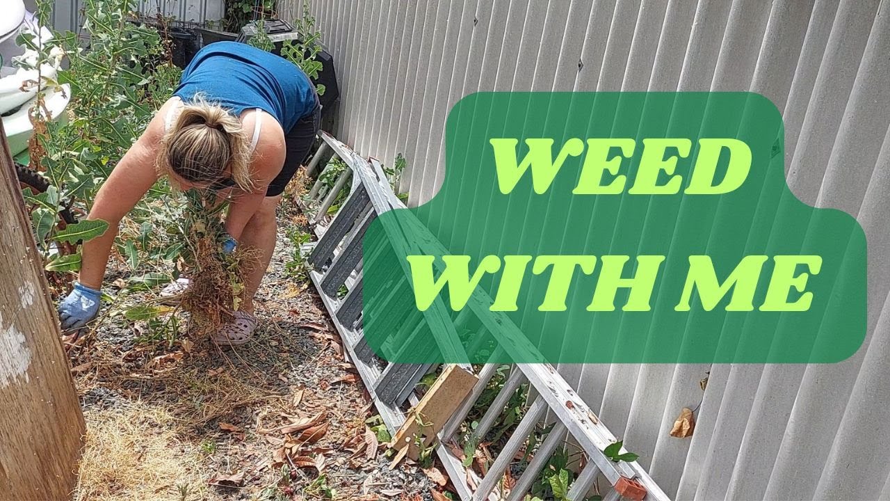 Weed with me in Perth (region) Western Australia | Garden Tidy Up - YouTube