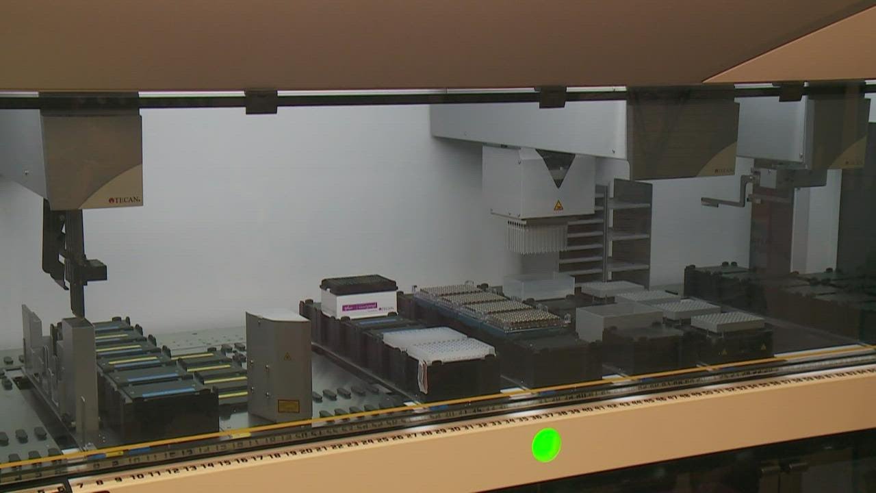 LSU Health lab researchers discover two new COVID-19 variants - YouTube