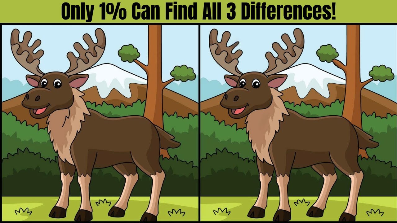 Spot the difference : 3 Differences to find in 60 seconds! [find the ...
