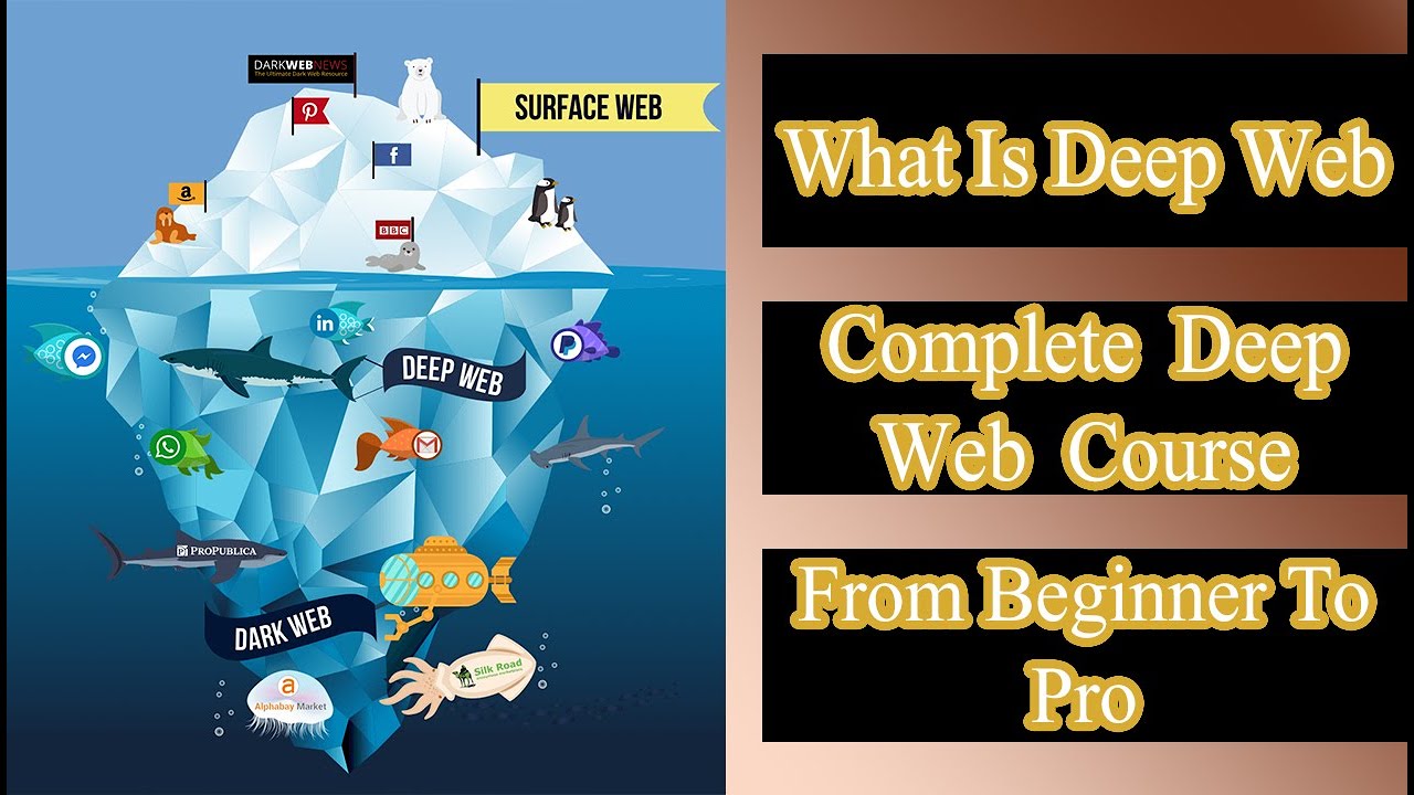 What Is Deep Web | The Complete Deep Web Course | Become An Expert ...