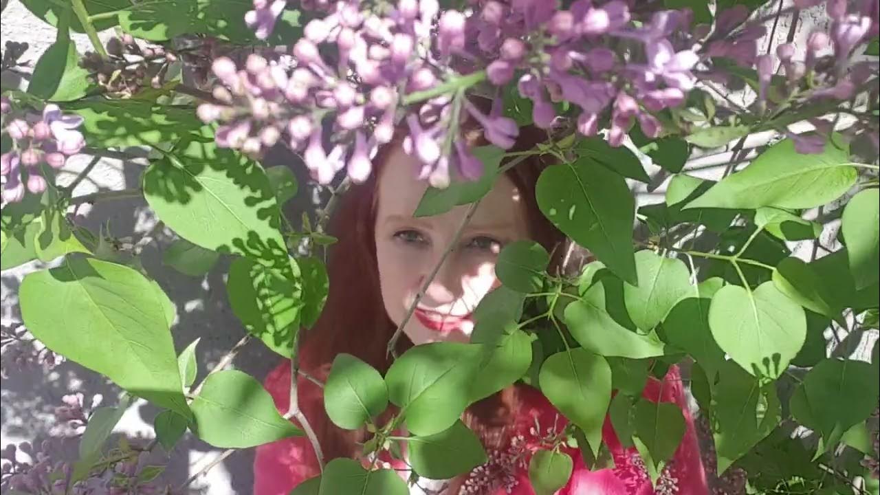 Гуттаперча - YouTube