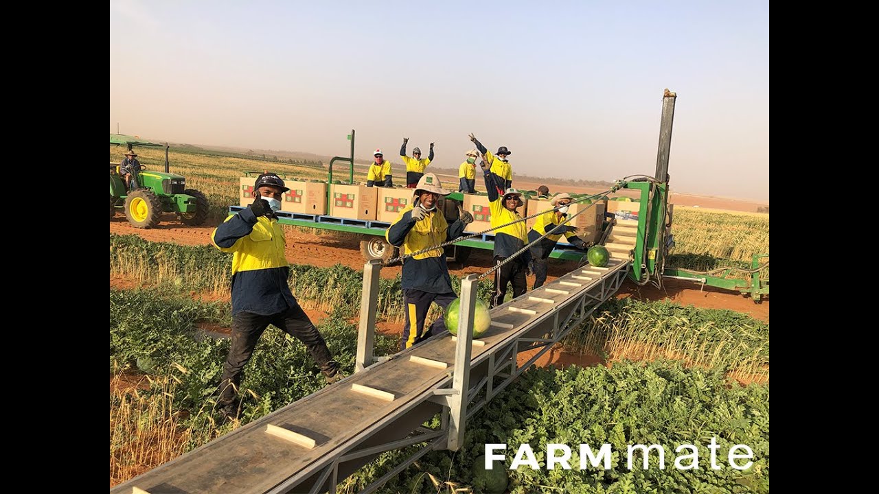 Farm Mate App Webinar - November 4, 2020 - YouTube