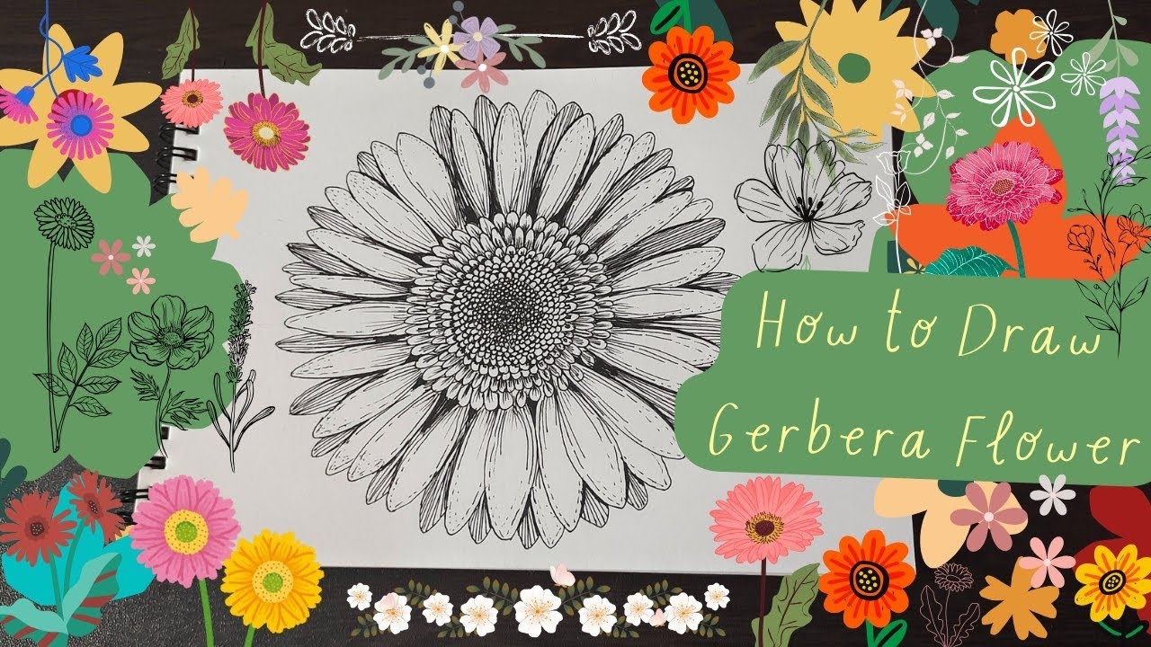 How to draw Gerbera flower easily step by step for a beginner ...