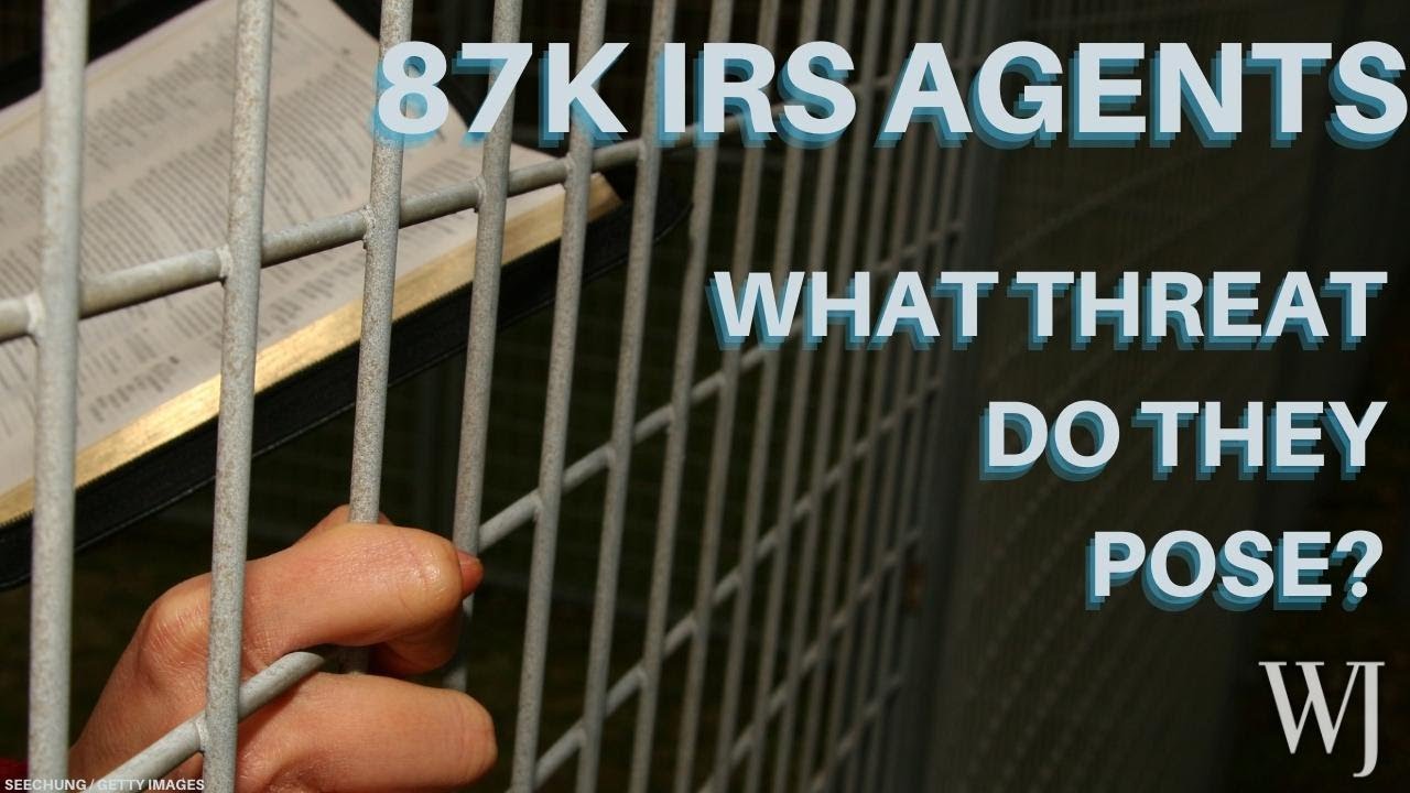 The Horror of 87K New IRS Agents Is Now Reality - What Threat Do They ...