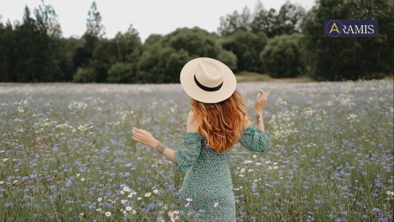 ARAMIS Production - Country/Rock Music Channel - YouTube