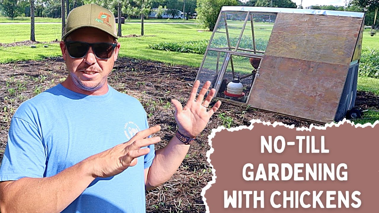 GET YOUR BACKYARD GARDEN TILLED FOR FREE! | COMPLETE GARDEN TOUR - YouTube