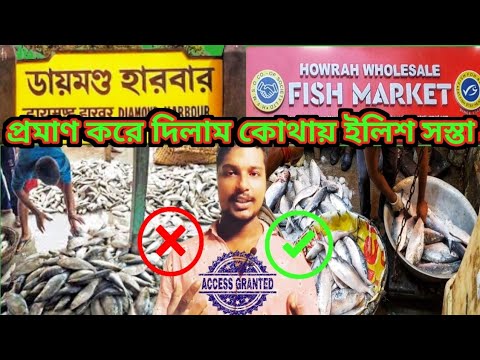 Diamond Harbour Fish Market|cheapest fish market Explained|Dimond ...