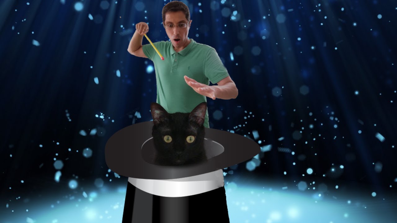Cats And Magic Tricks - Special Episode - YouTube