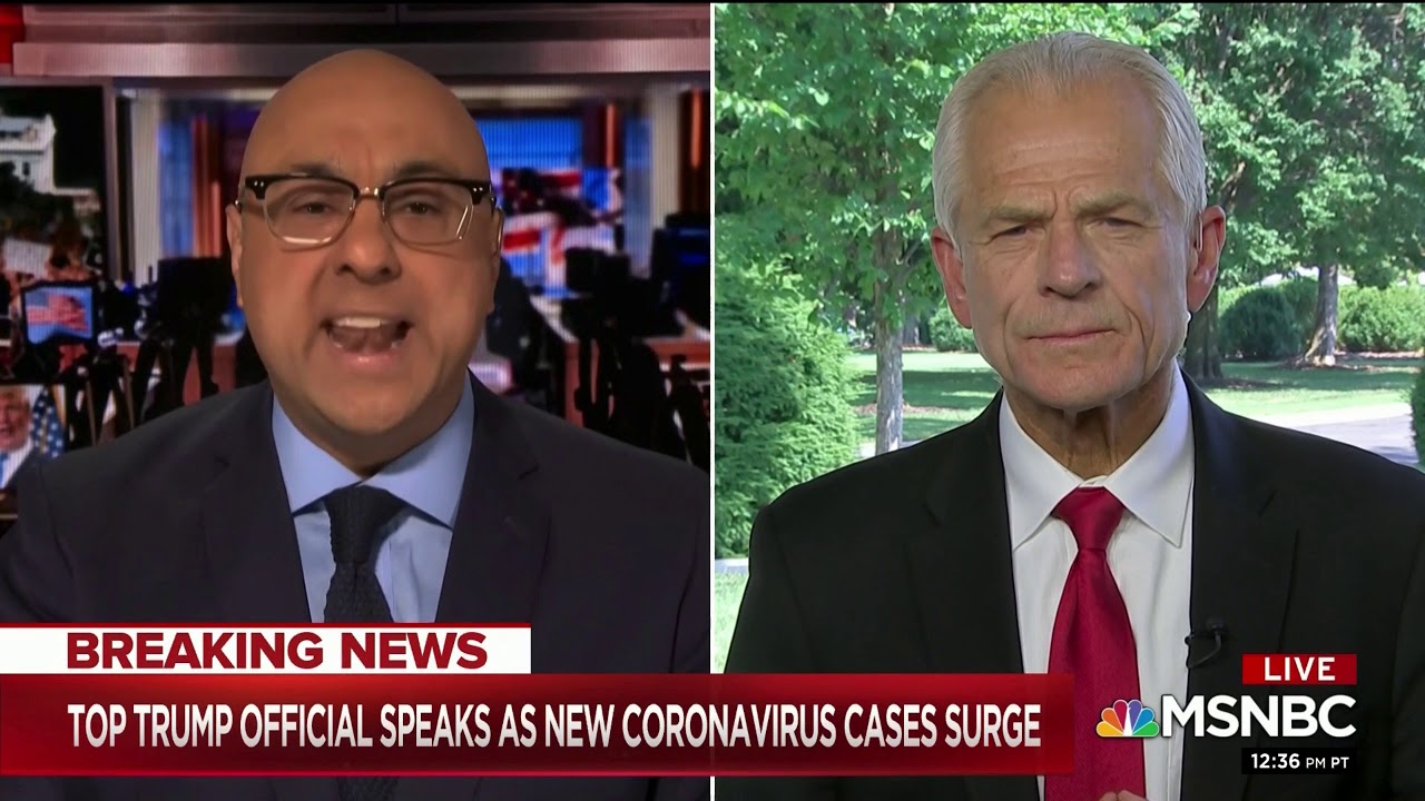 Peter Navarro on MSNBC - YouTube
