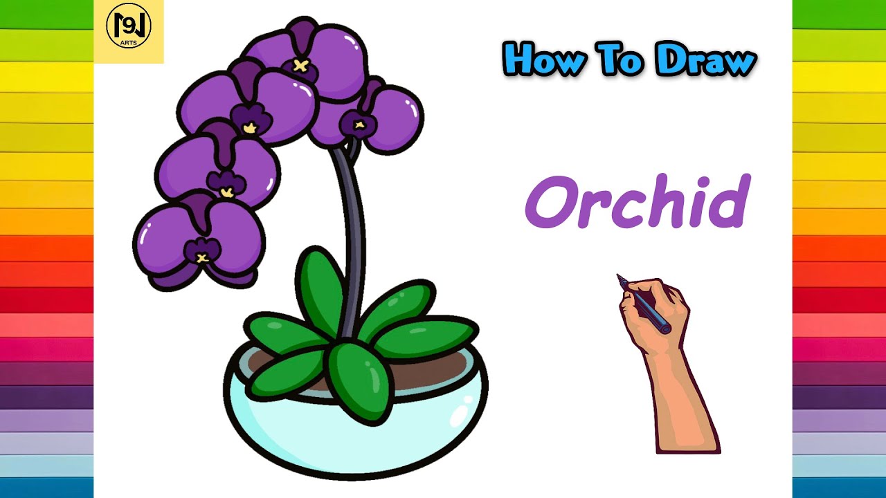 How to draw an purple Orchid Flower easy step by step 2023 | No.9 ARTS ...