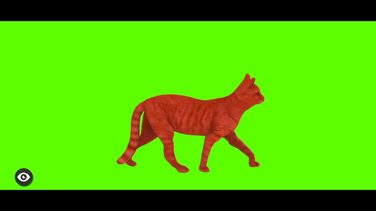 walking cat green screen video - YouTube