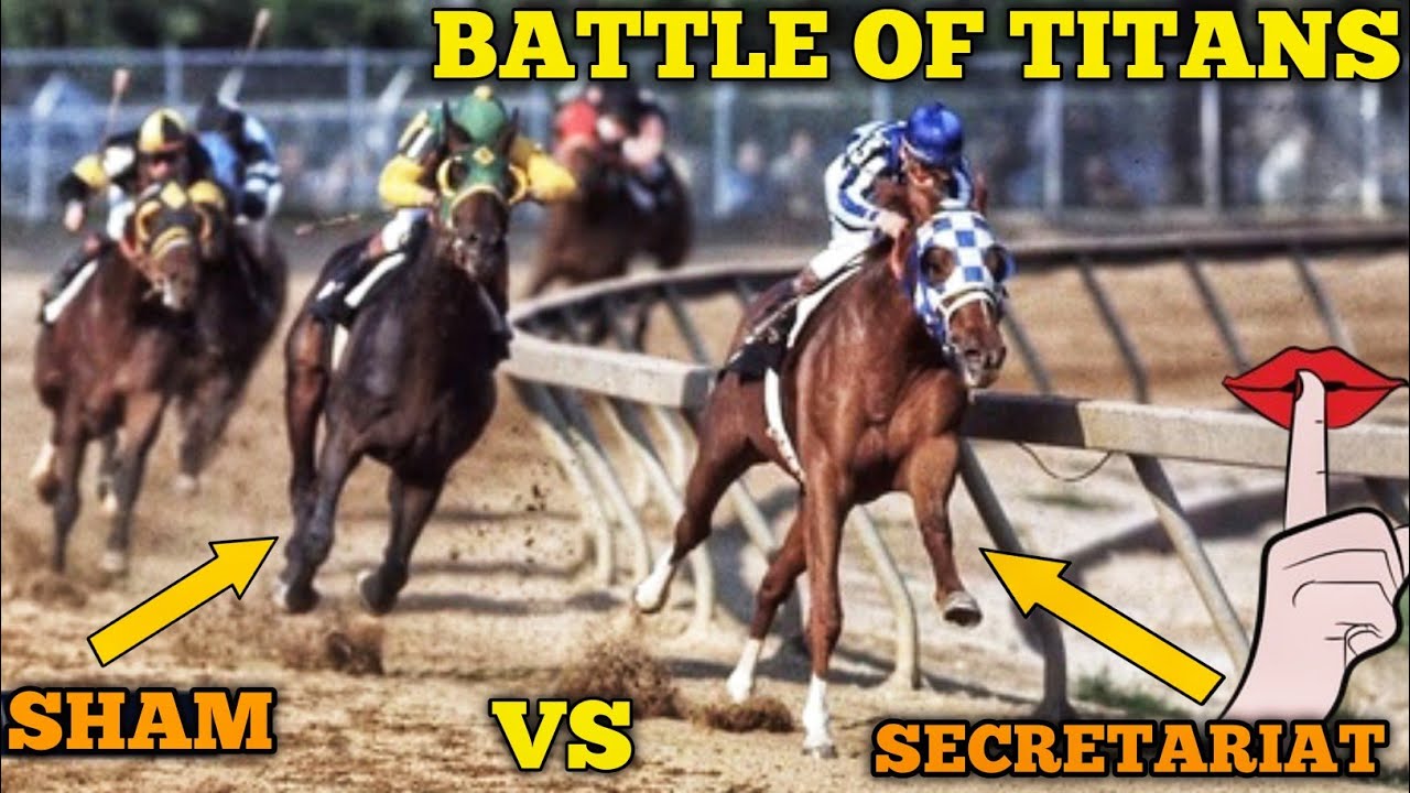 SHAM: The Horse Who Almost Beat Secretariat | The Greatest Runner-Up in ...