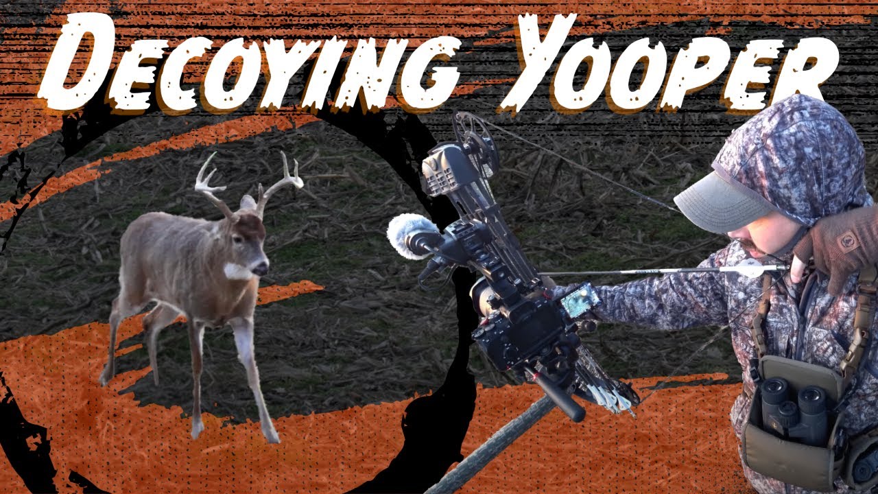 Decoying A Mature Buck WORKED! - YouTube