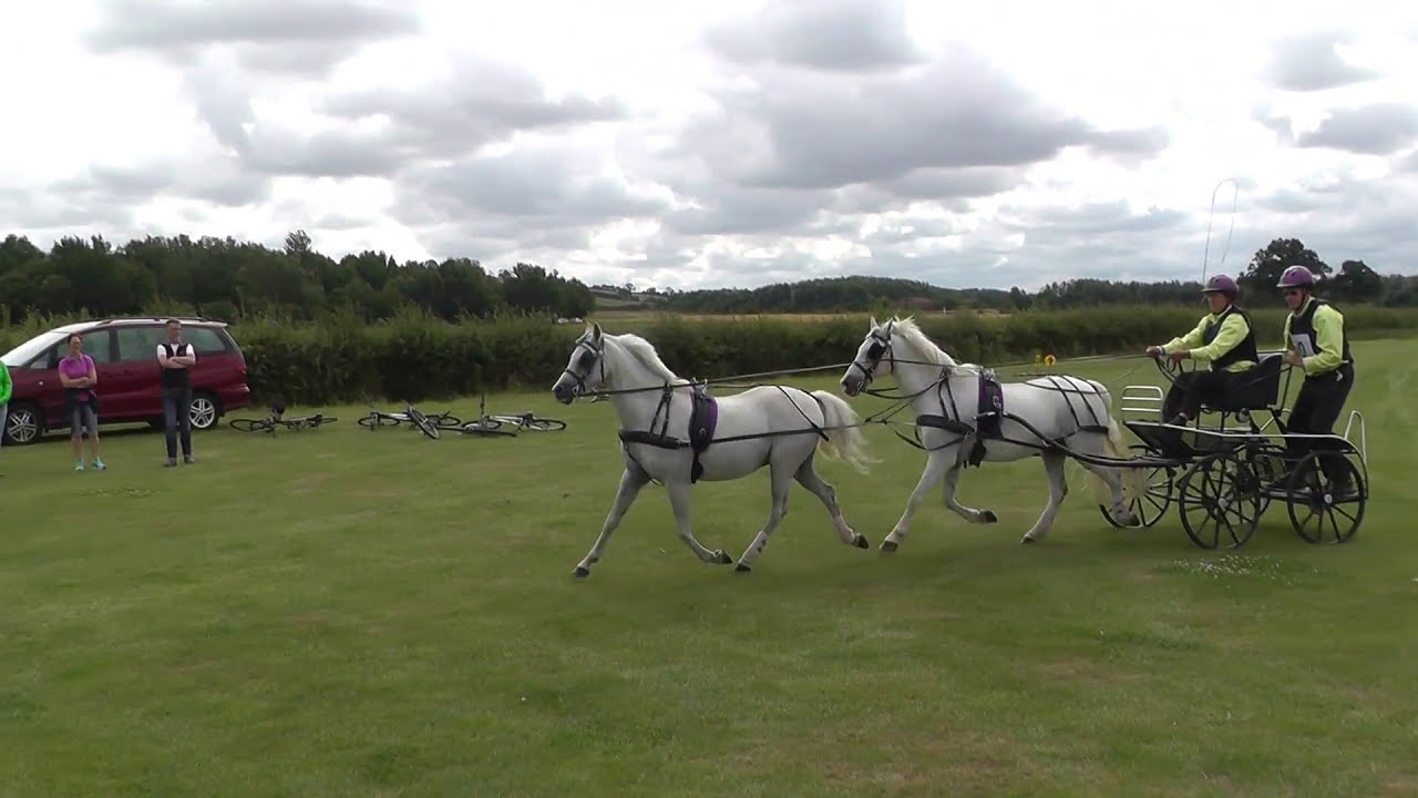 Pony tandem driving, obstacle 1, Onley - YouTube