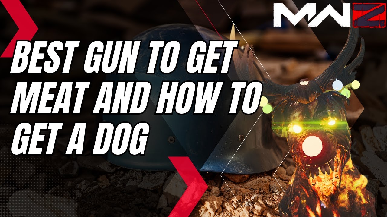 MWZ Which Gun Is Best For Gathering Meat & Getting a Dog - YouTube