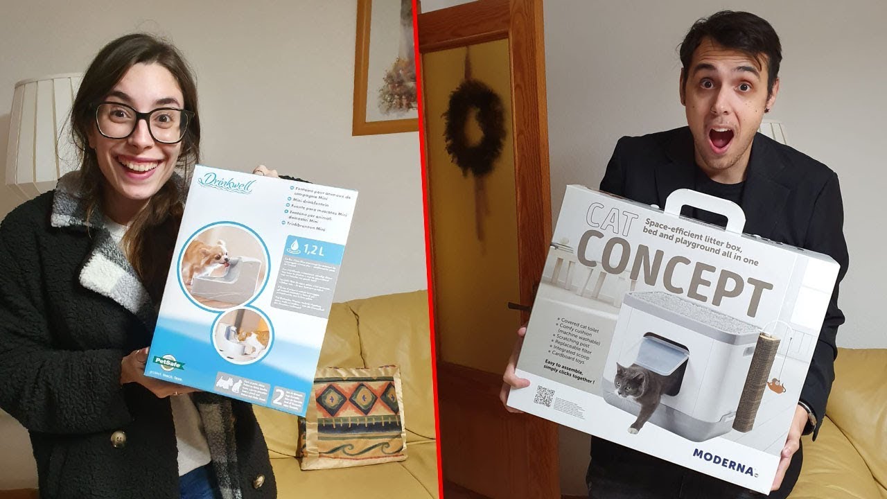 COMPRAMOS REGALOS GIGANTES PARA PUSHEEN CON LYNA *CASA LYNIEL* - YouTube