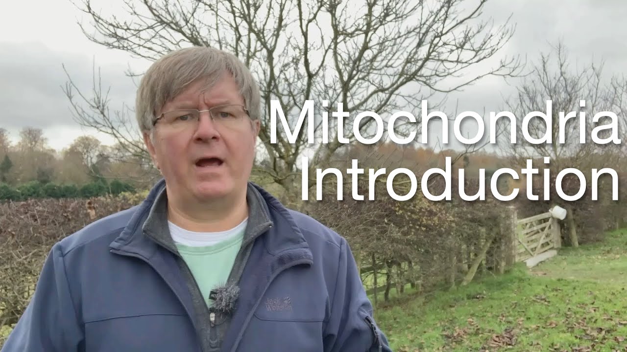 The History, Structure and Functions of Mitochondria - YouTube