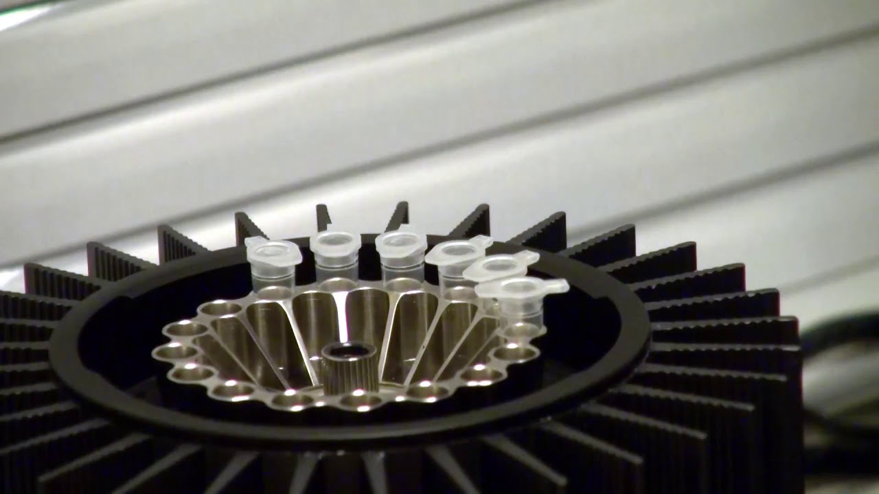 Demonstrasjon av PCR analyse med Genesig q16 - YouTube