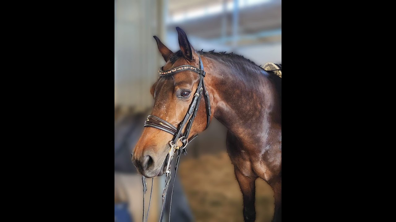 what is a lip strap? - YouTube