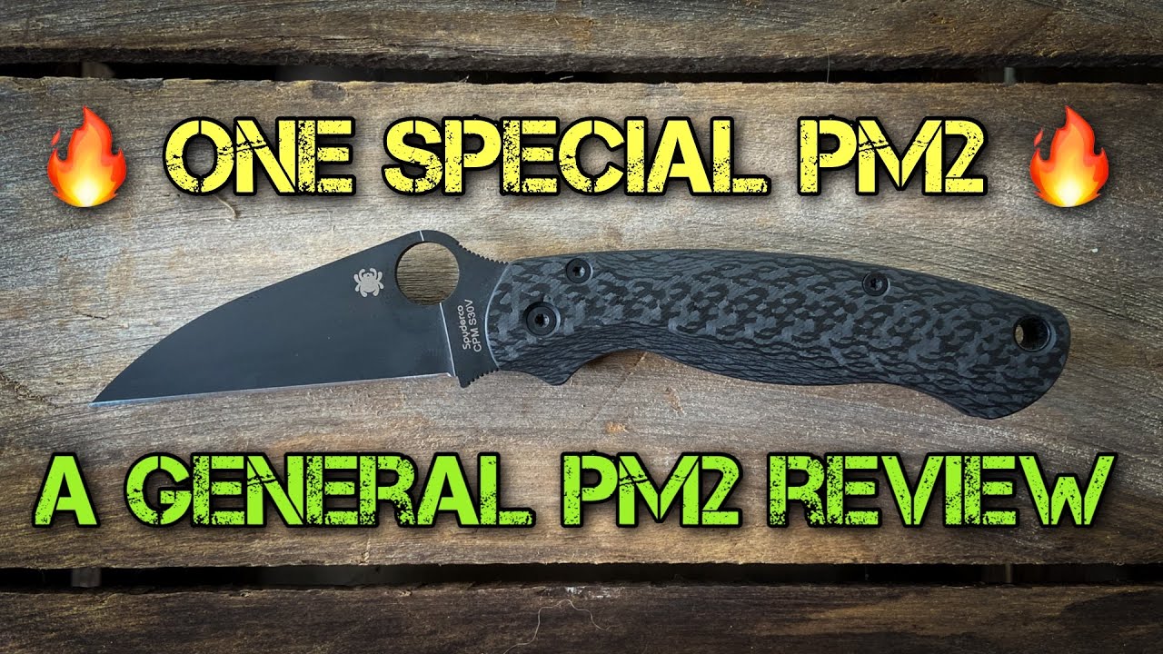 An amazing custom Spyderco Paramilitary 2, plus a general PM2 review ...