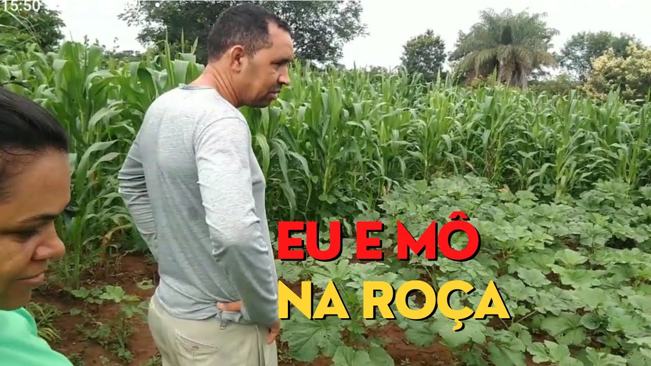 VIDA NA ROÇA COM FABI E MÔ/COLHEMOS E PLANTAMOS E MUITO MAIS/Fabi ...