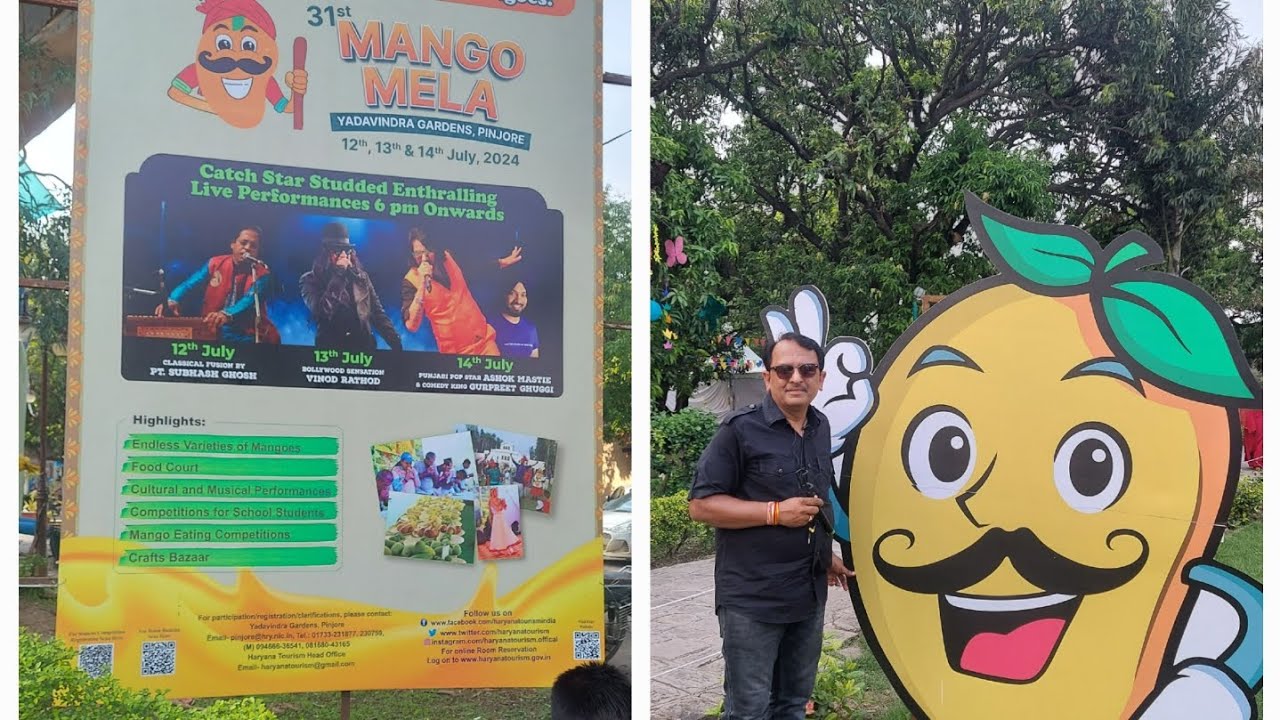 Mango Mela 2024 Pinjore Garden | 31st Mango Mela | Mango Mela in ...